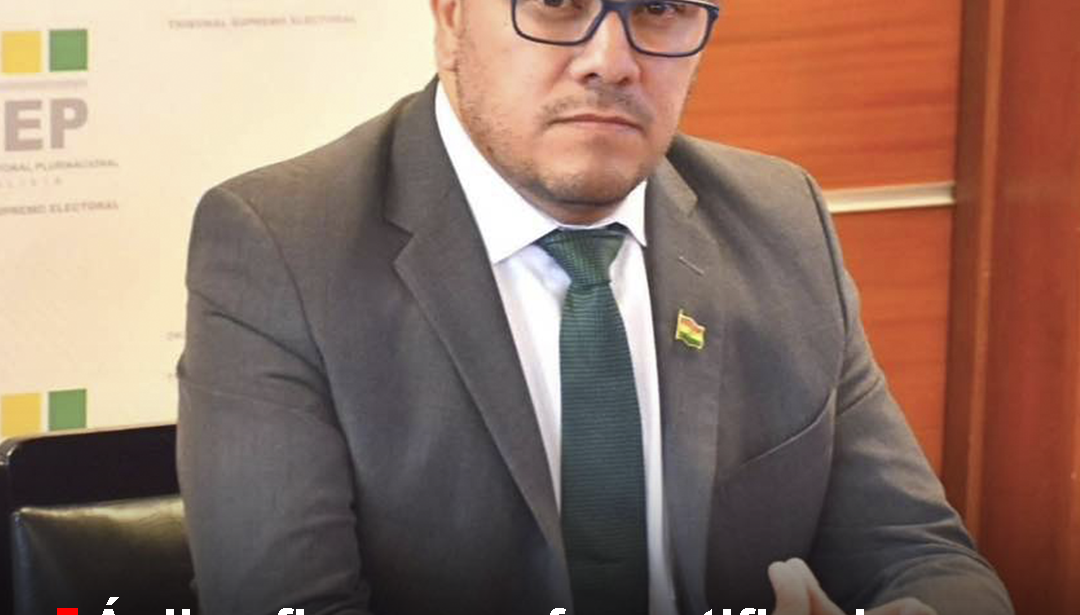 Ávila afirma que fue ratificado como vocal del TSE designado por el ...